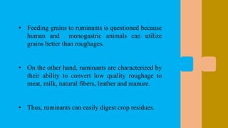 Crop wastes and residues for animal feeding | PPTX