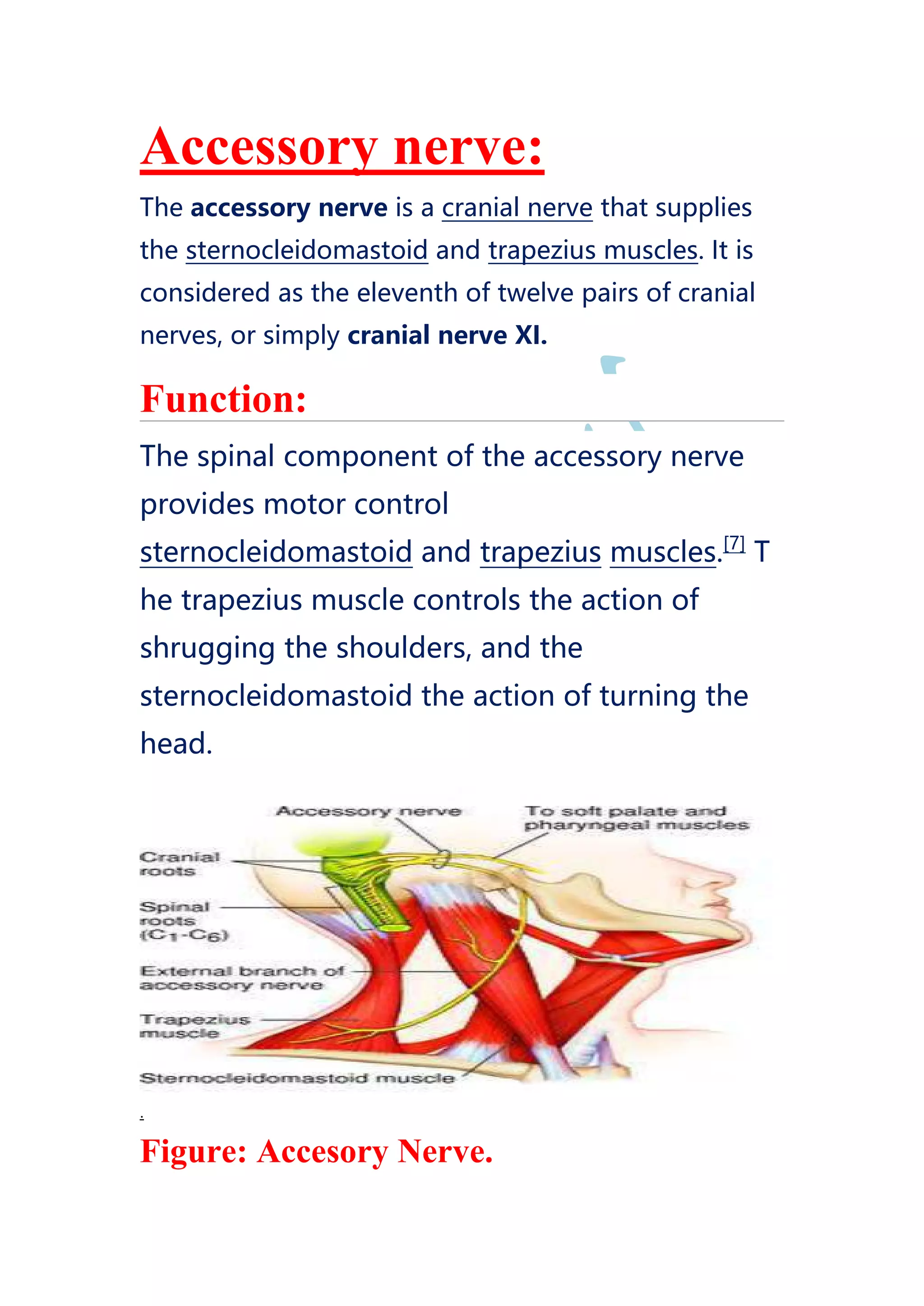 Cranial nerves and its types and functions. | PDF