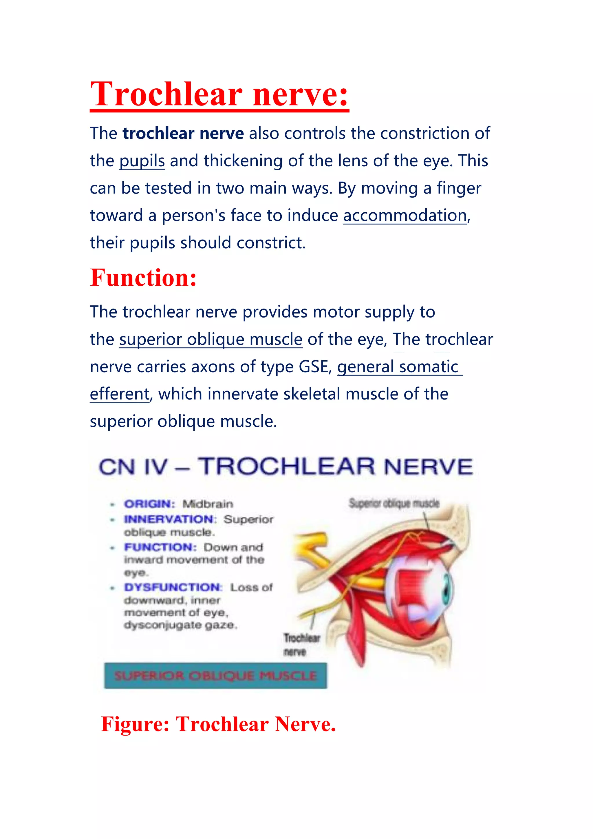 Cranial nerves and its types and functions. | PDF