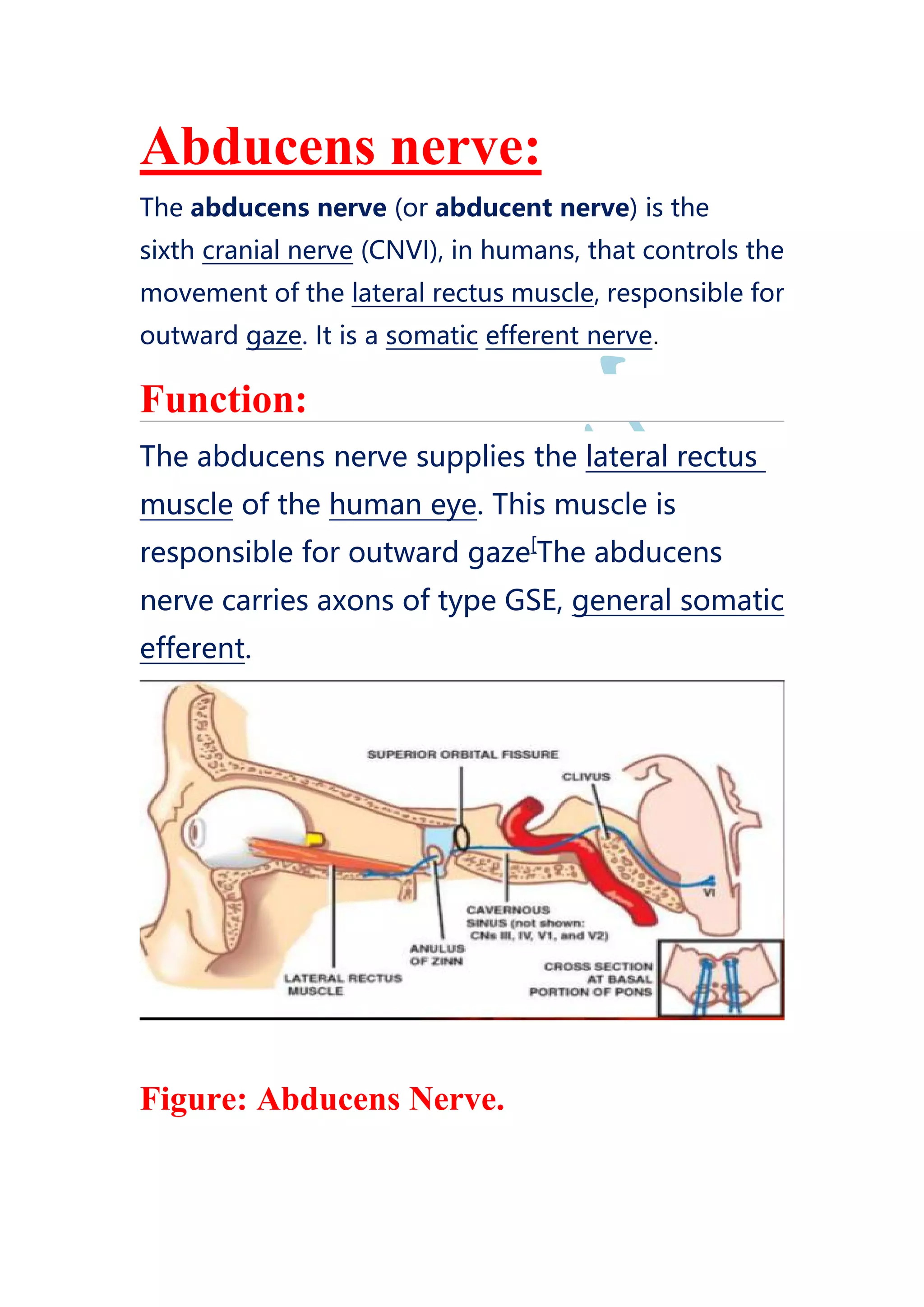 Cranial nerves and its types and functions. | PDF