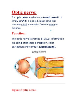 Cranial nerves and its types and functions. | PDF