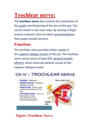 Cranial nerves and its types and functions. | PDF