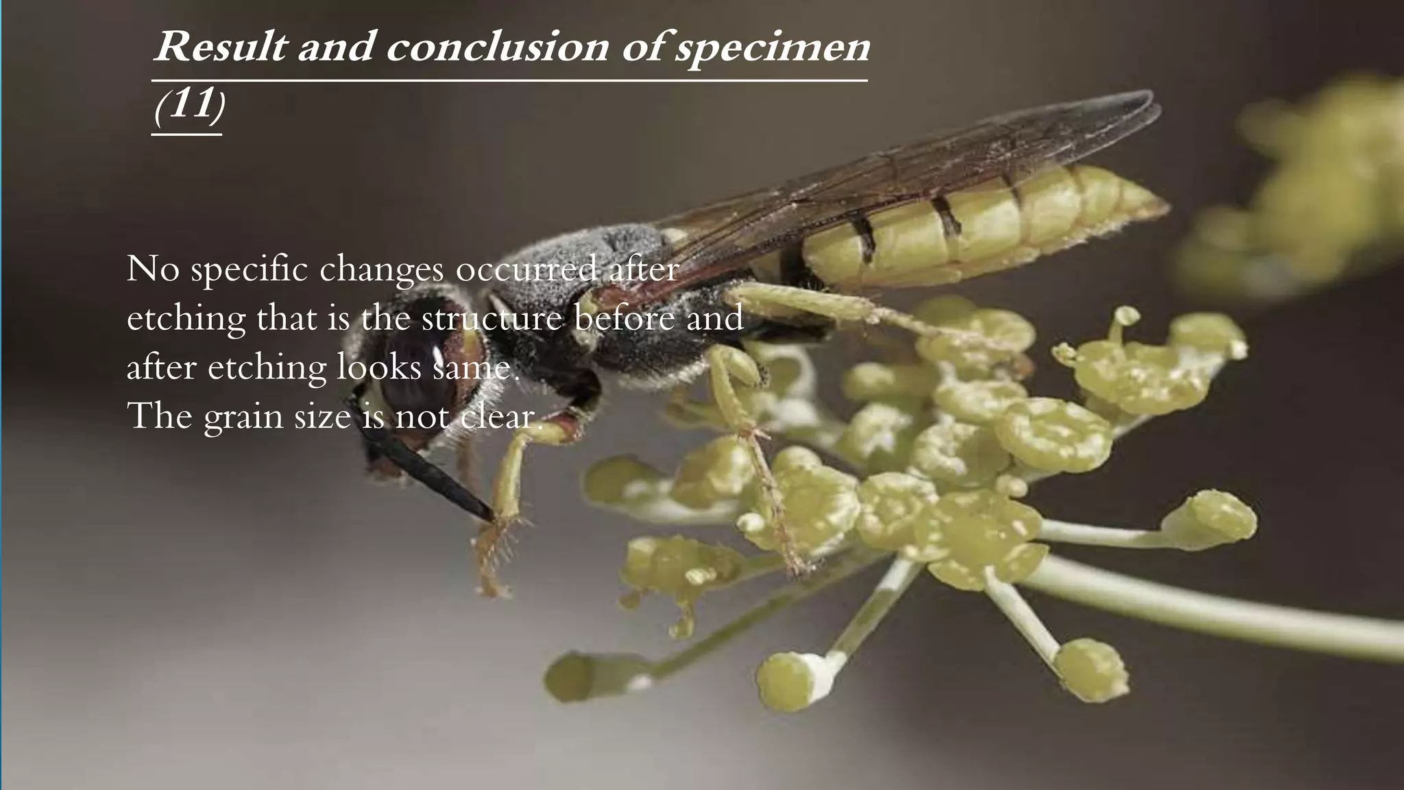 checking heat treatment on unspecified steel specimen | PPTX