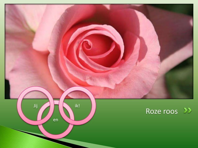 Zeg het met rozen! | PPTX | Gardening | Home & Garden