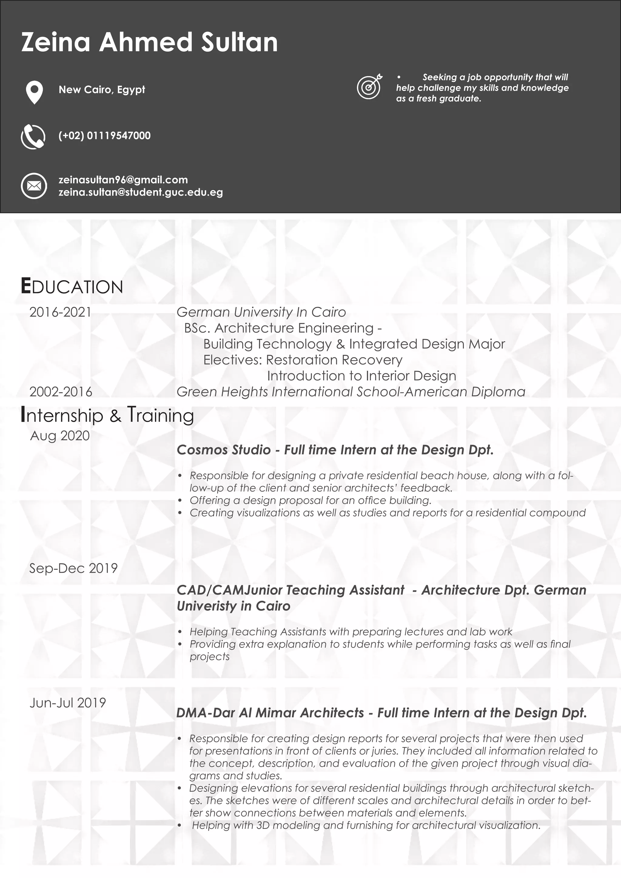 Zeina Sultan - CV | PDF