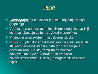 Zelene alge | PPT