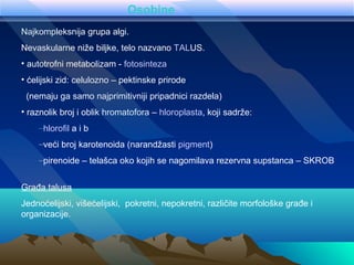 Zelene alge | PPT