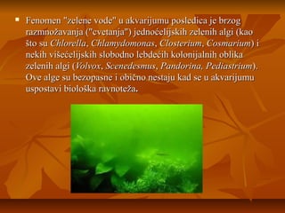 Zelene alge | PPT