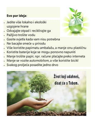 Zelen - san na Zemljin dan | DOCX