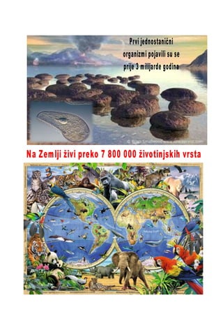 Zelen - san na Zemljin dan | DOCX