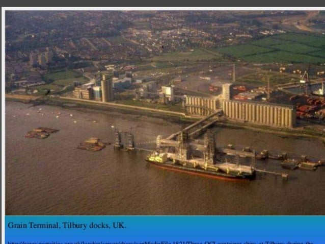 Port and Terminal Operations Management PPT | PPT | Cruises | Travel Type