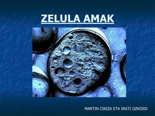 Zelula amak | PPT