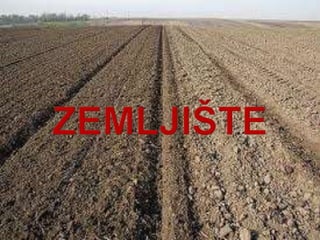 Zemljiste | PPTX