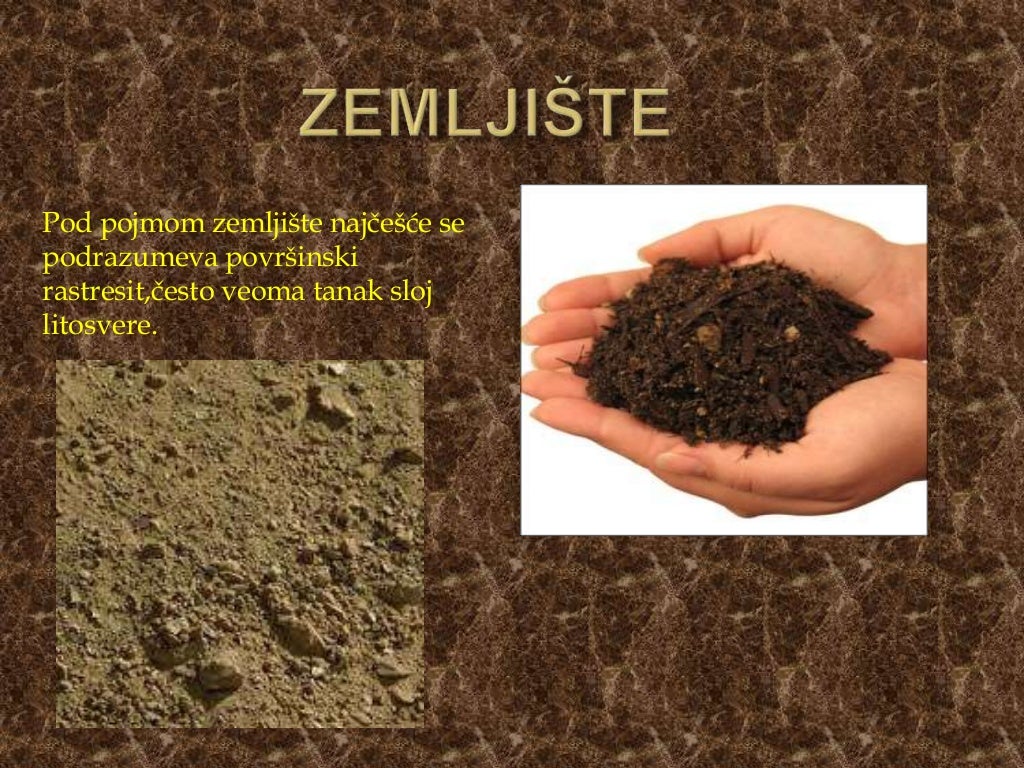 Zemljiste