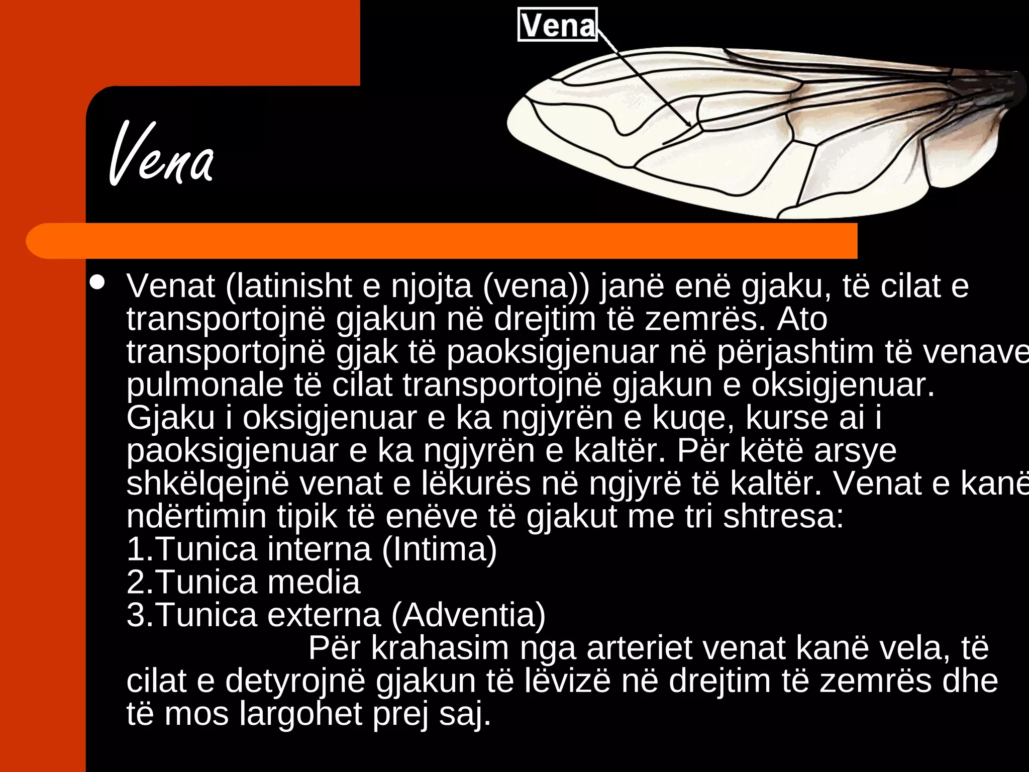 Zemra dhe enët e gjakut (Biologji) | PPT