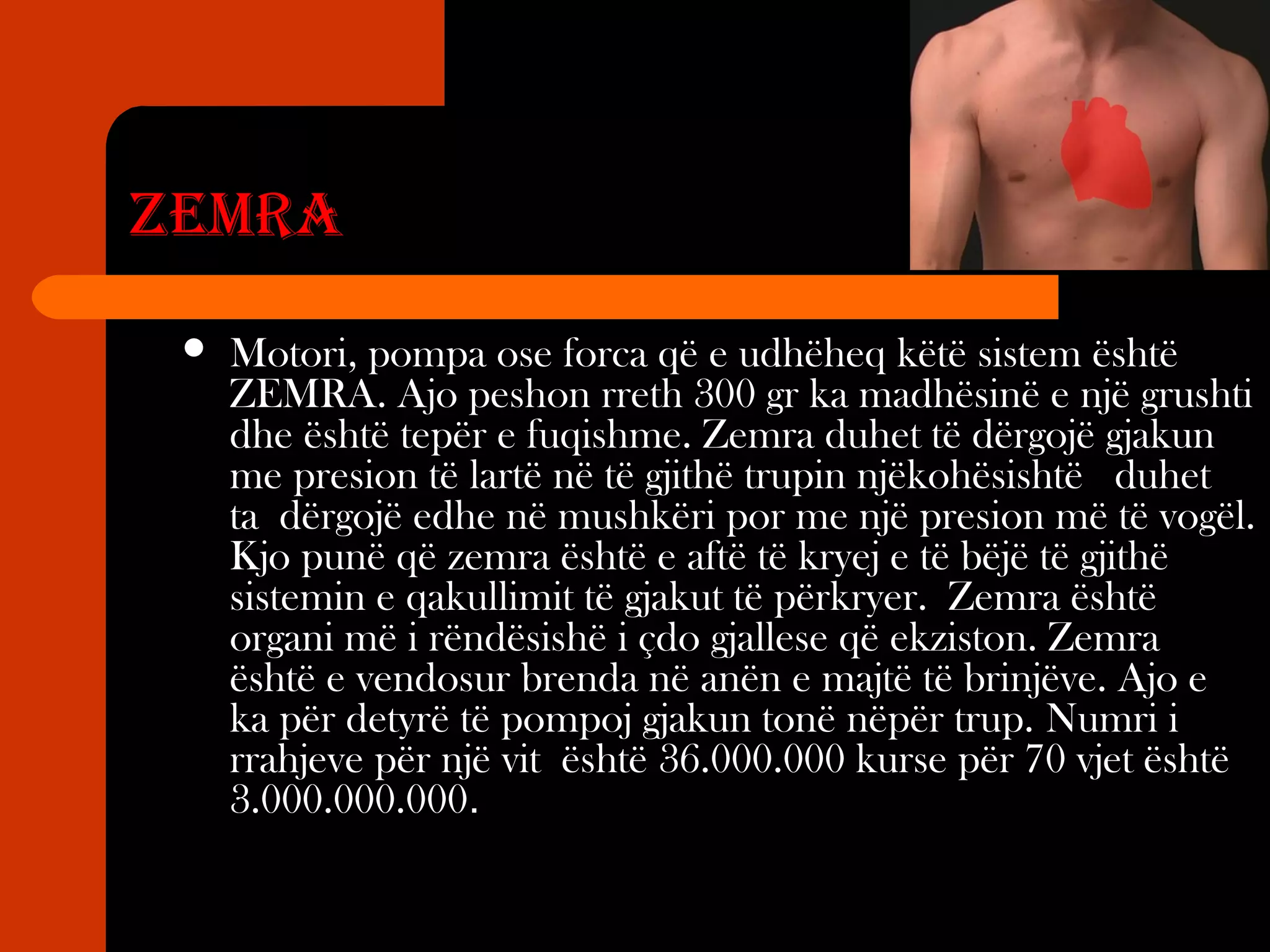 Zemra dhe enët e gjakut (Biologji) | PPT