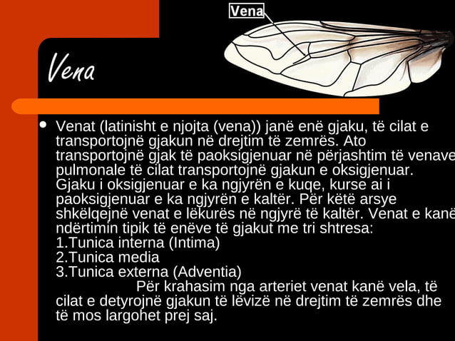 Zemra dhe enët e gjakut (Biologji) | PPT