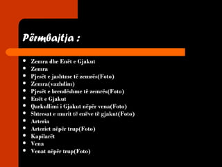 Zemra dhe enët e gjakut (Biologji) | PPT