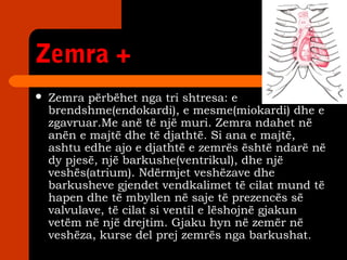 Zemra dhe enët e gjakut (Biologji) | PPT