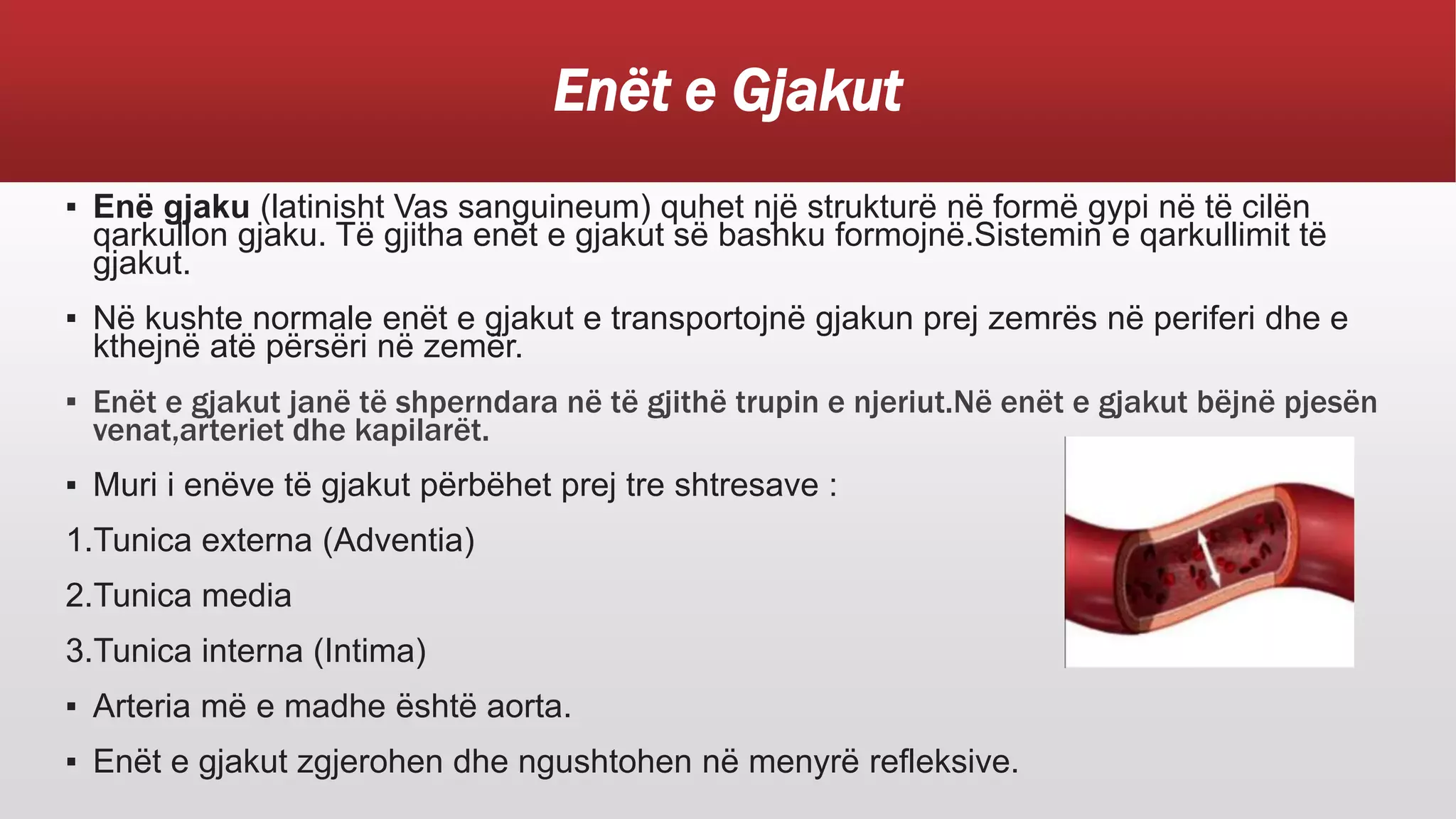 Zemra dhe Enet e gjakut | PPTX