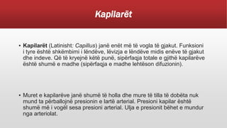 Zemra dhe Enet e gjakut | PPTX