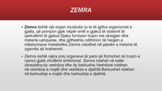 Zemra dhe Enet e gjakut | PPTX