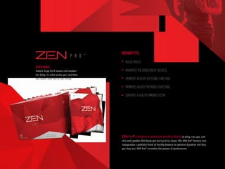 Zen booklet english | PPT