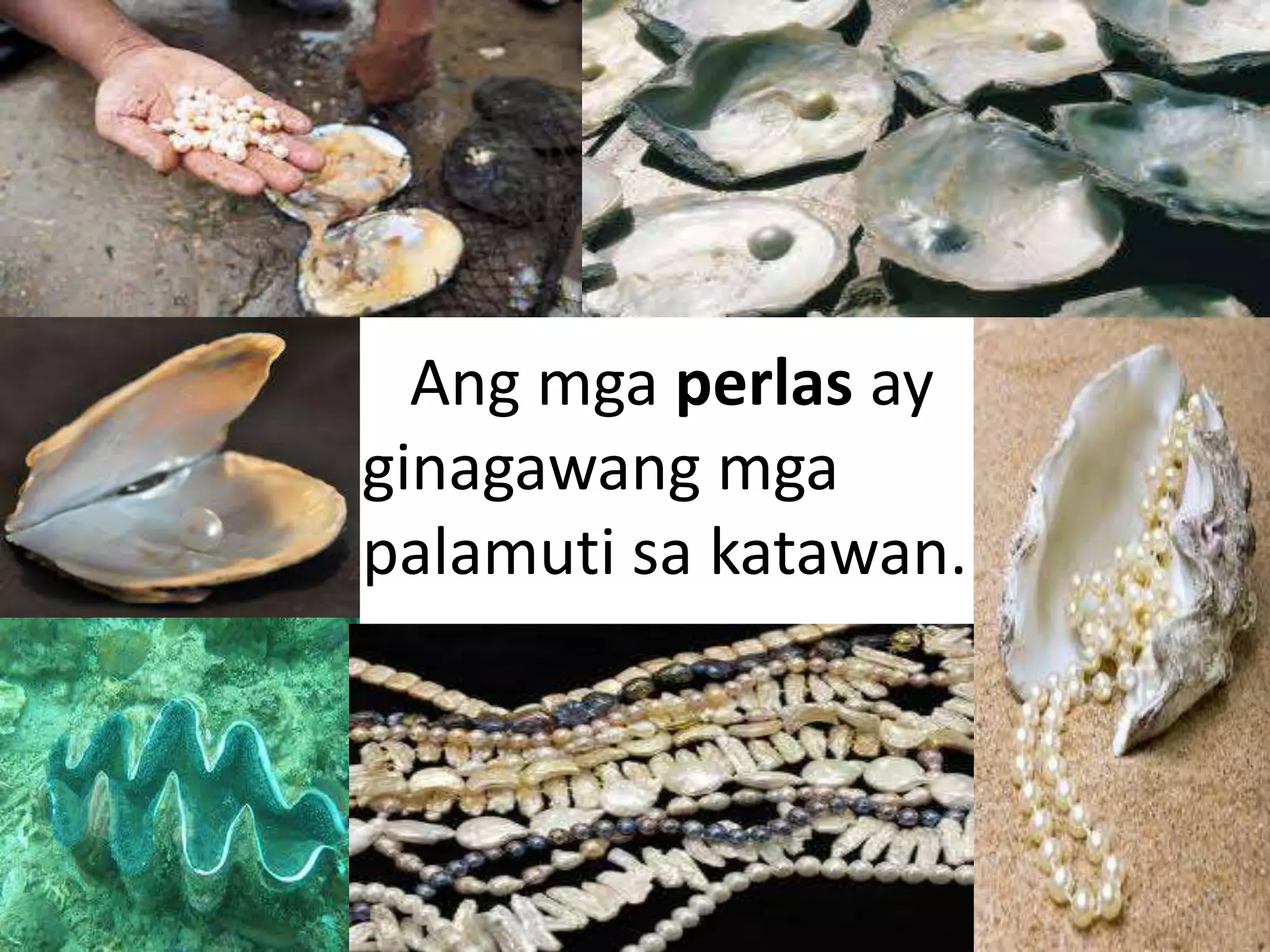 Yamang Likas ng Pilipinas sibika | PPTX