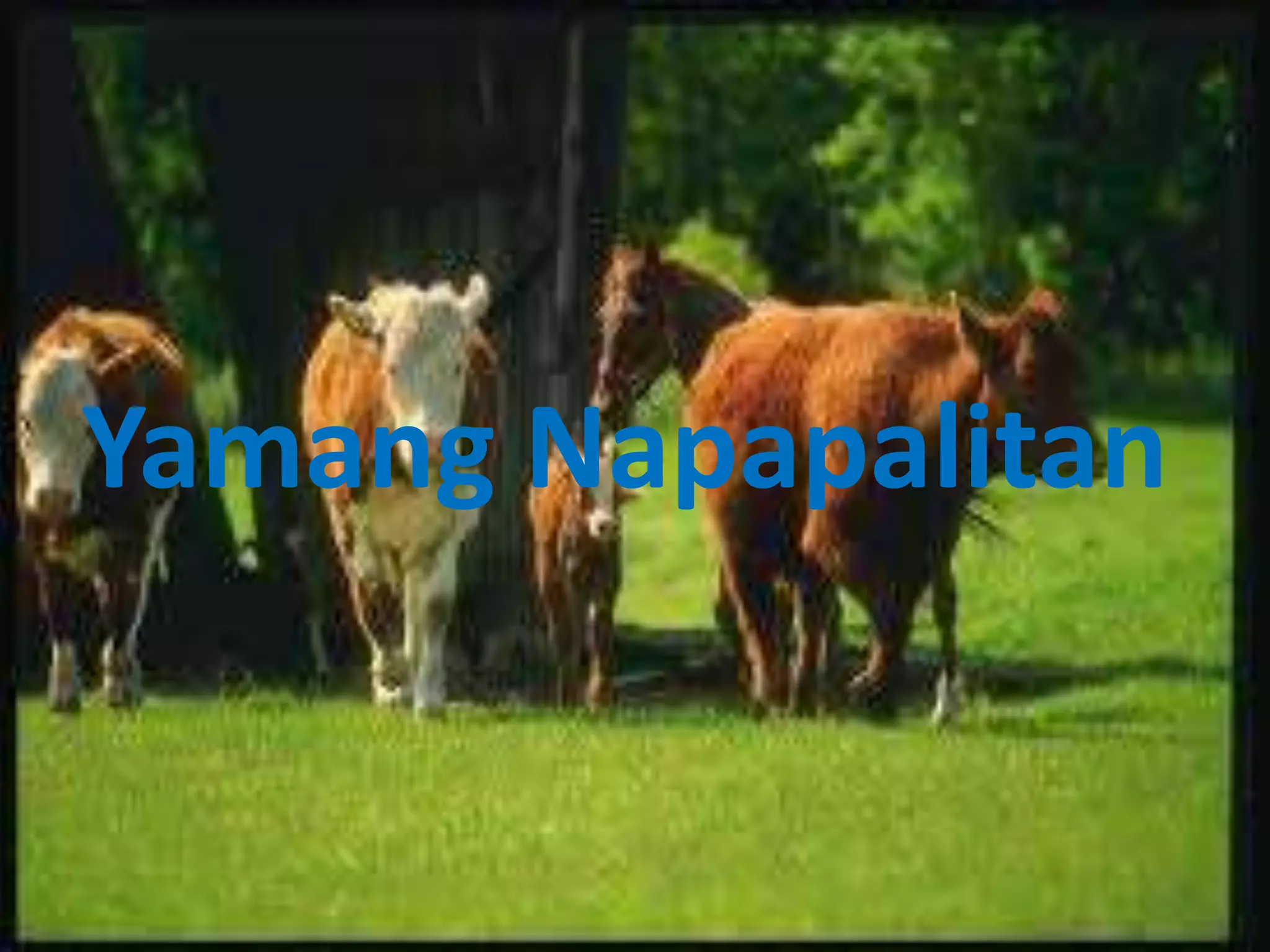 Yamang Likas ng Pilipinas sibika | PPTX