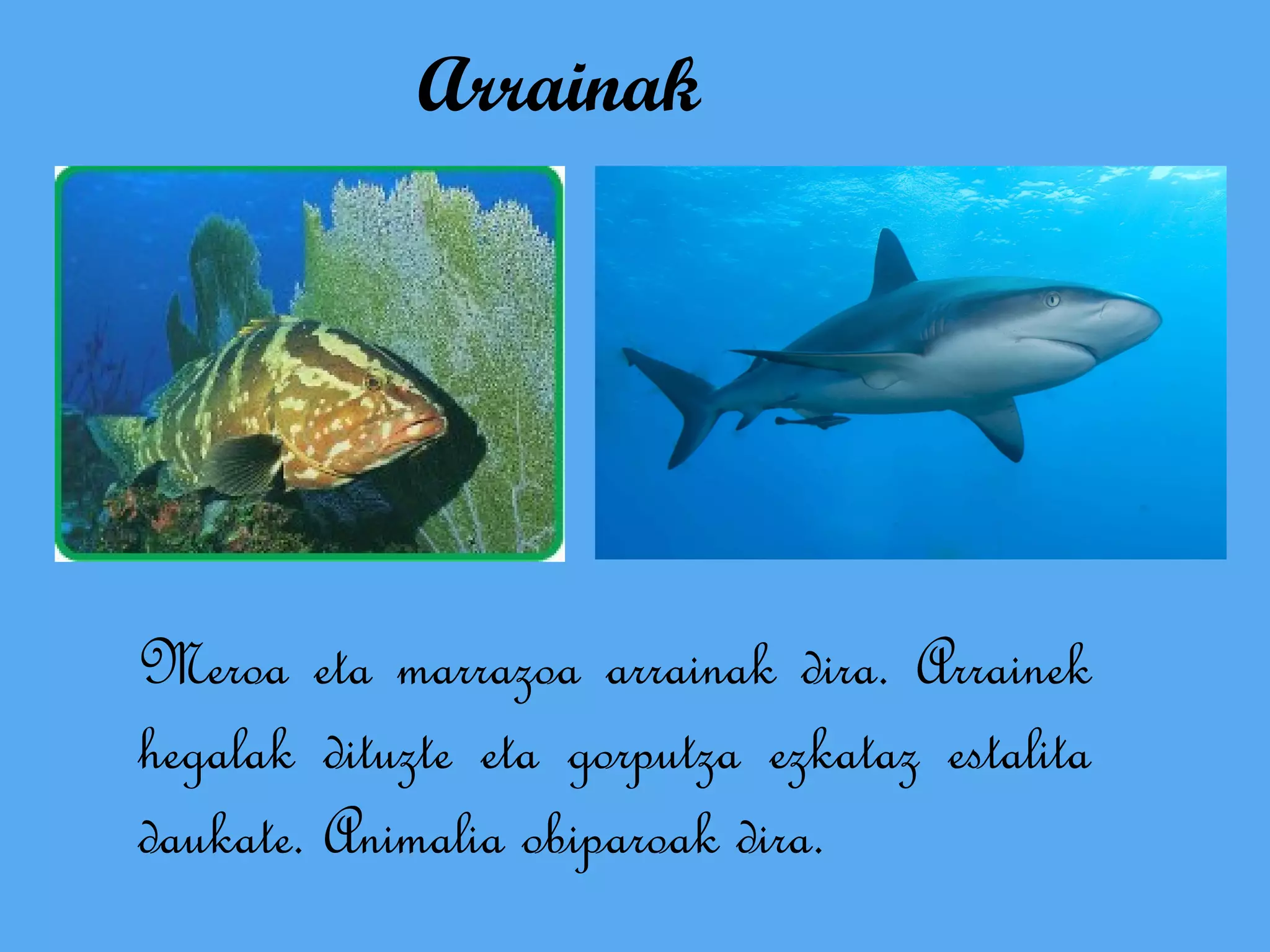 Zenbat animalia!!! | PPT