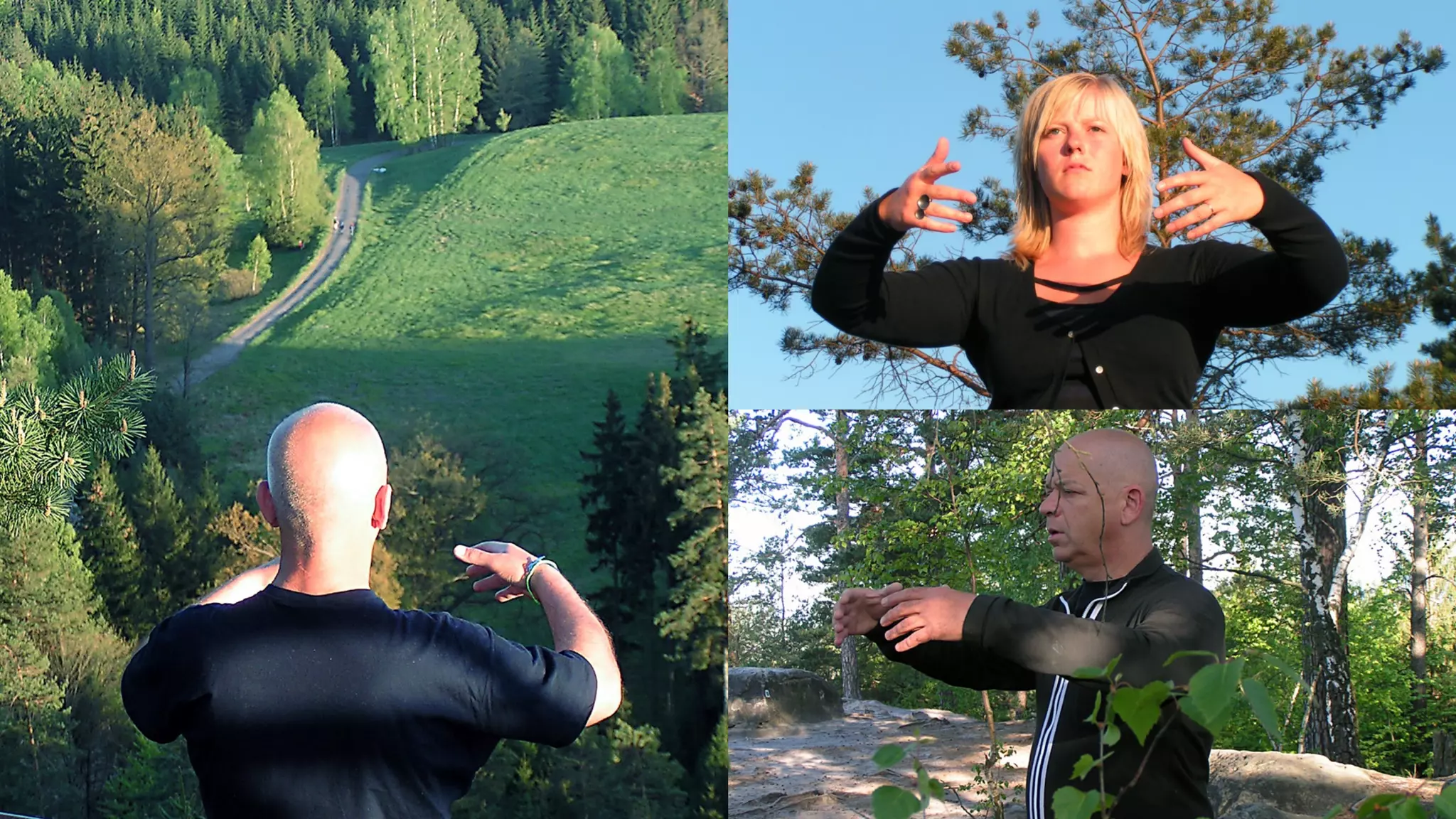 ZenmaX Ritsuzen, standing zen meditation. | PPT