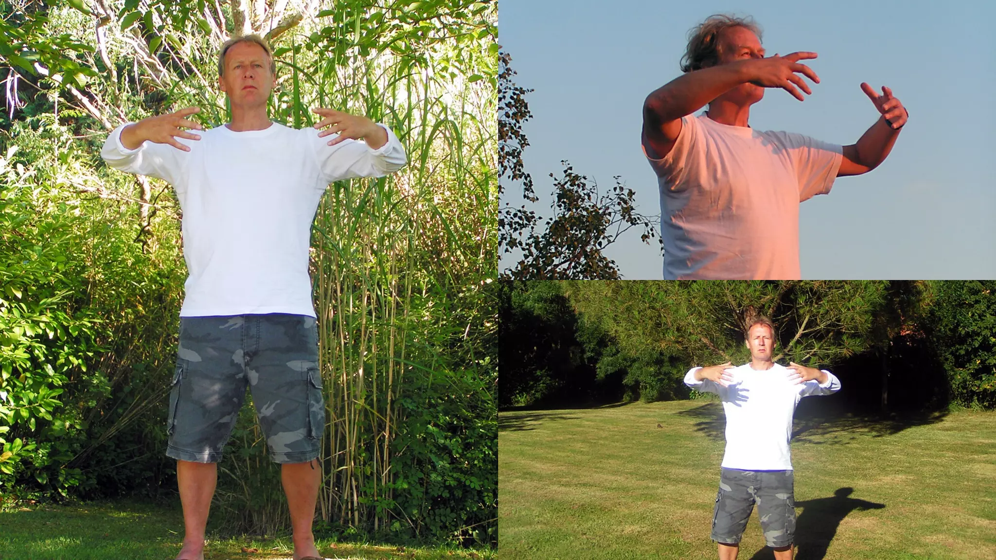 ZenmaX Ritsuzen, standing zen meditation. | PPT