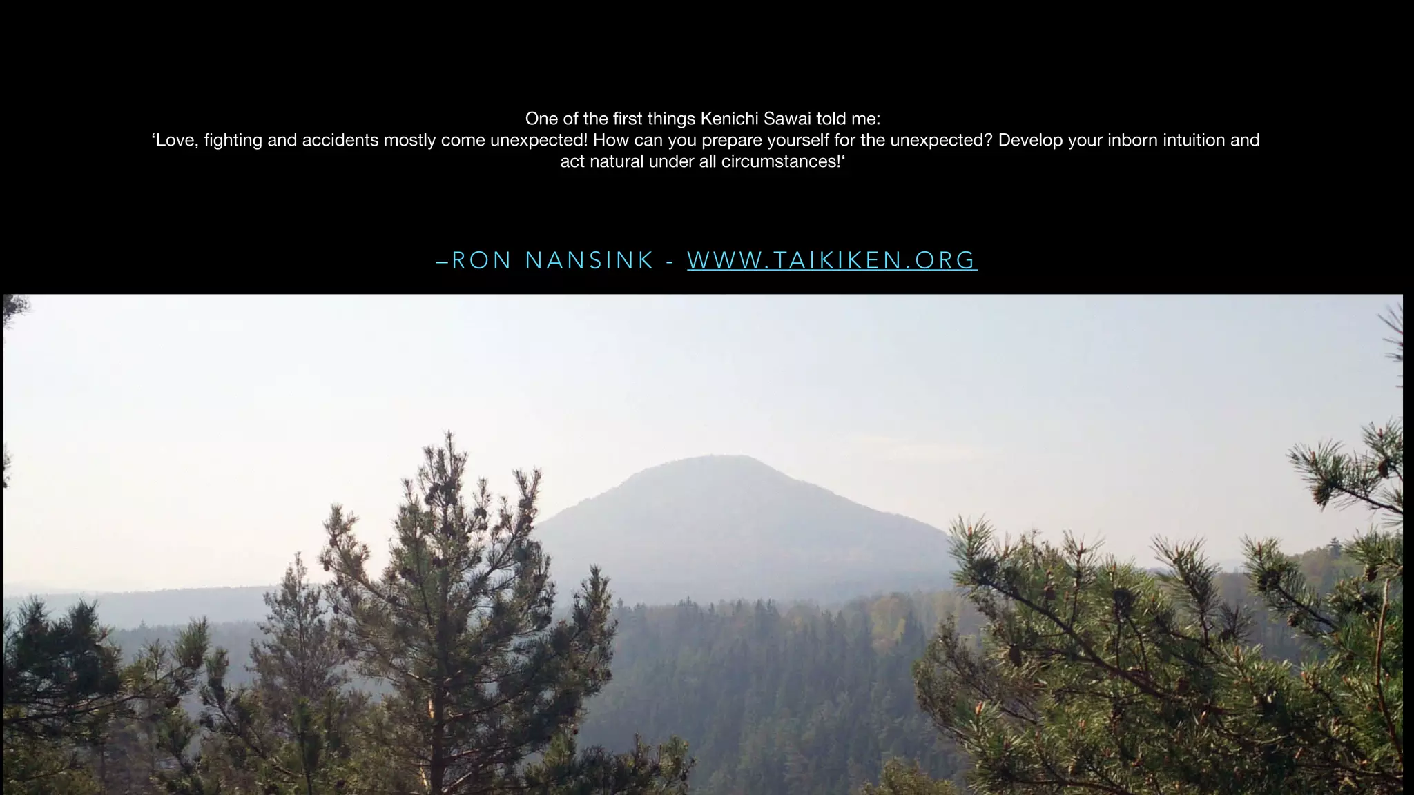 ZenmaX Ritsuzen, standing zen meditation. | PPT