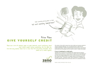 Zeno Marketing - How It Works | PDF