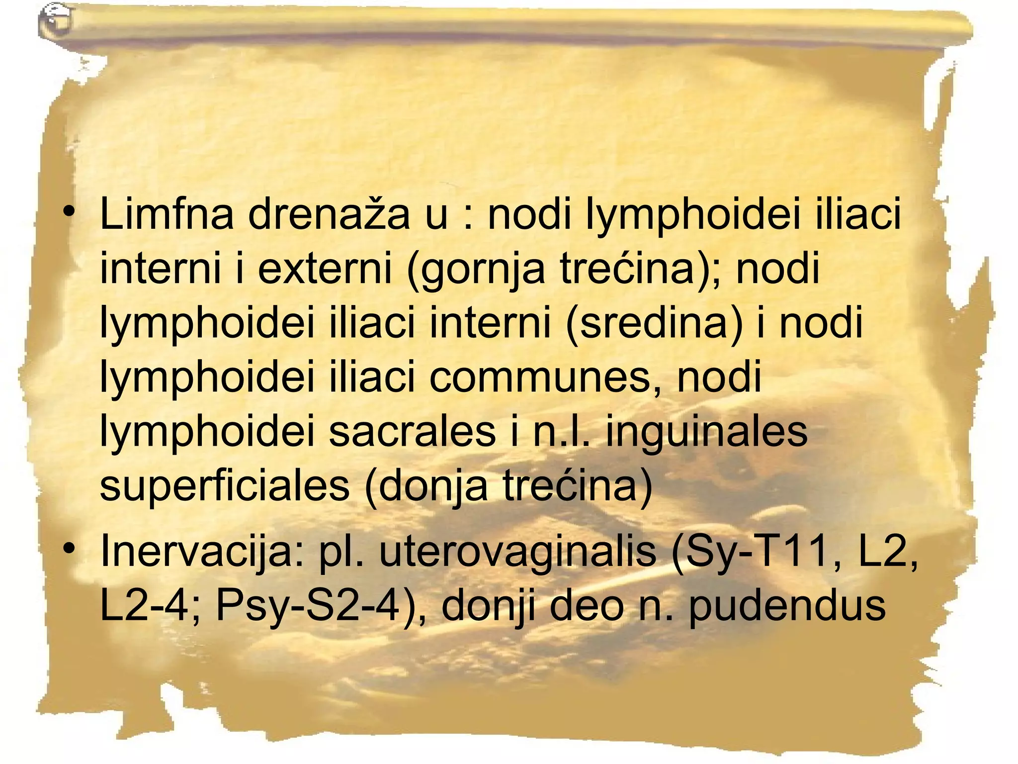 Zenska karlica predavanje | PPS