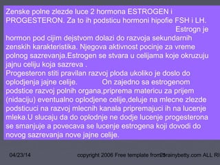 Zenski polni | PPT
