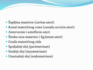 Zenski polni organi | PPTX