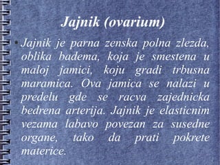 ZENSKI POLNI ORGANI I DOJKA | PDF