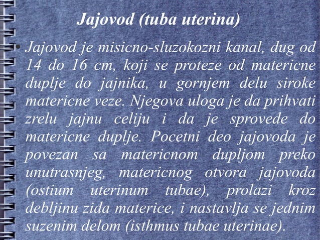 ZENSKI POLNI ORGANI I DOJKA | PDF