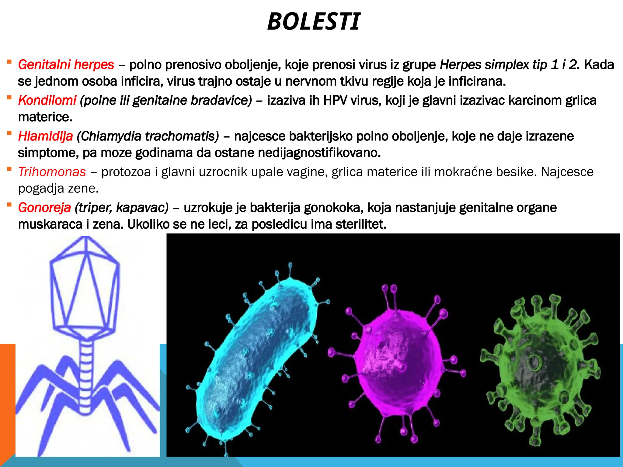 Zenski polni sisitem *reproduktivni sistem v3.pptx