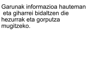 Zentzumen organoak jon_maite_berezi_eta_ceci | PPT