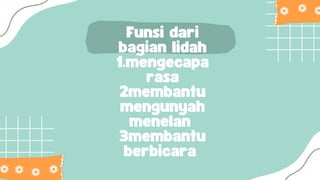 ALAT INDRA PADA MANUSIA SEBAGAI ALAT PENGECAP DAN PERASA (LIDAH) | PDF