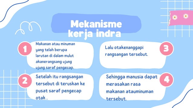 ALAT INDRA PADA MANUSIA SEBAGAI ALAT PENGECAP DAN PERASA (LIDAH) | PDF