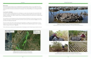 Zere- El Tarachi, Veracruz, ARR Short.pdf