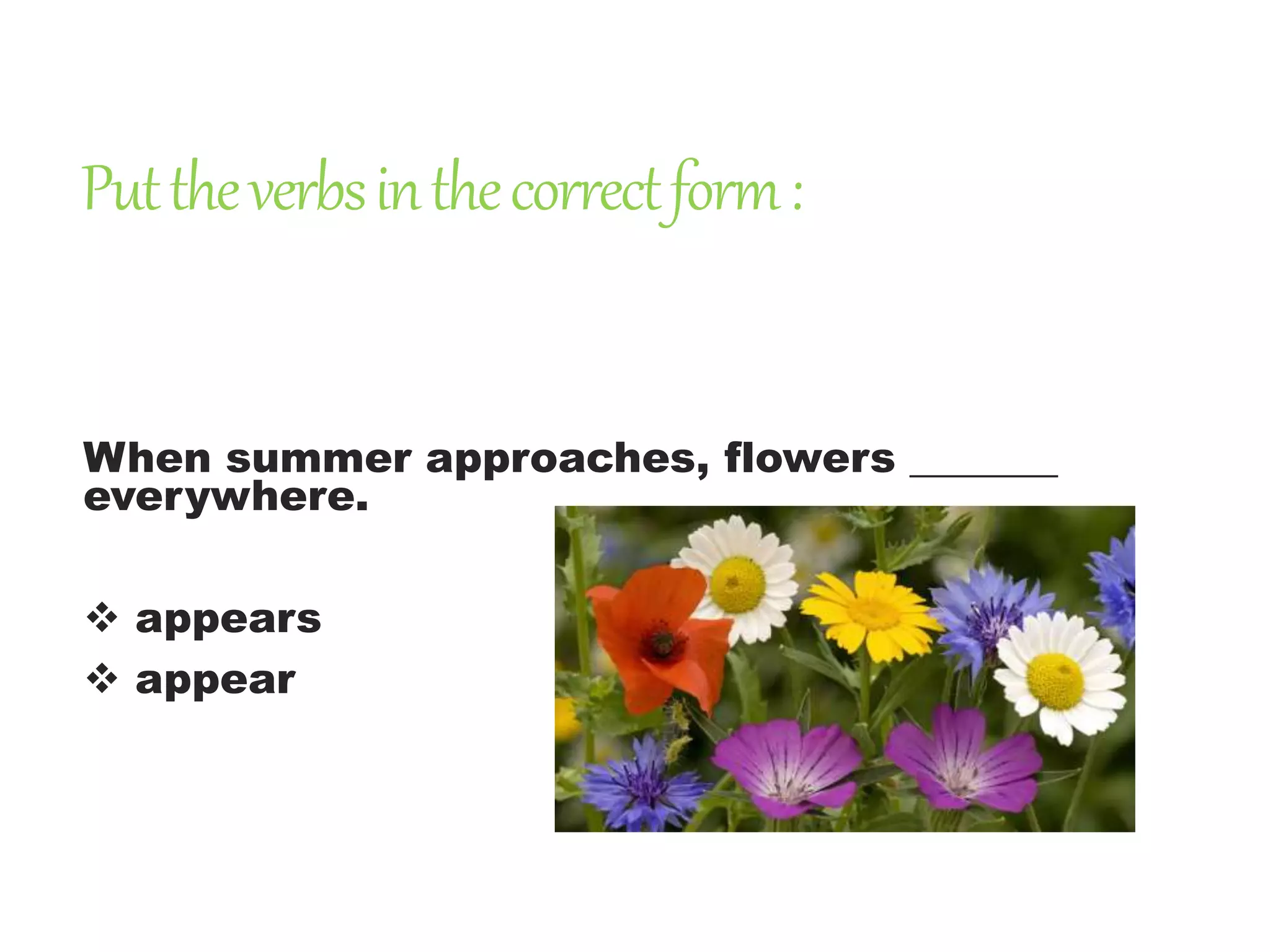 zero-conditional-reading-comprehension-exercises_100701.pptx