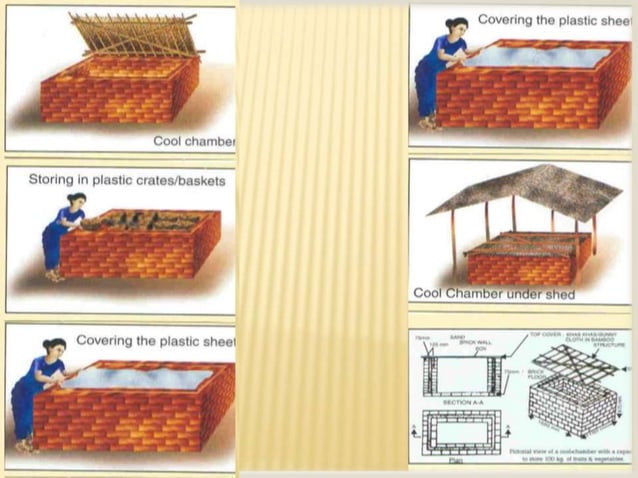 Zero energy cool chamber | PPTX | Agriculture | Industries