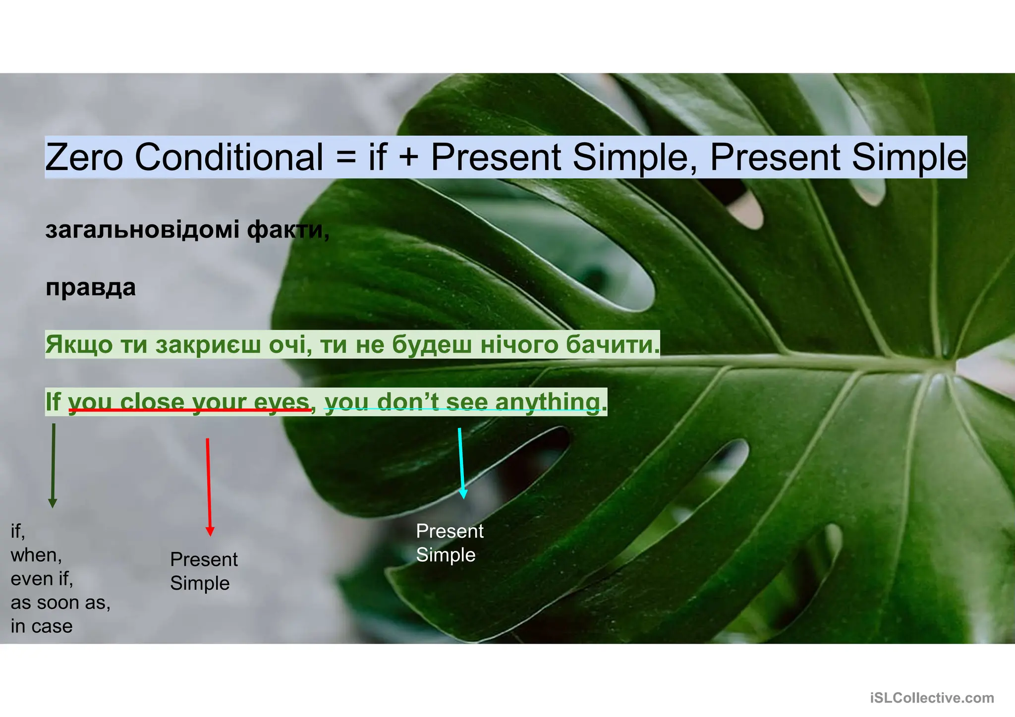Zero and First Conditional, practice tasks | PPT