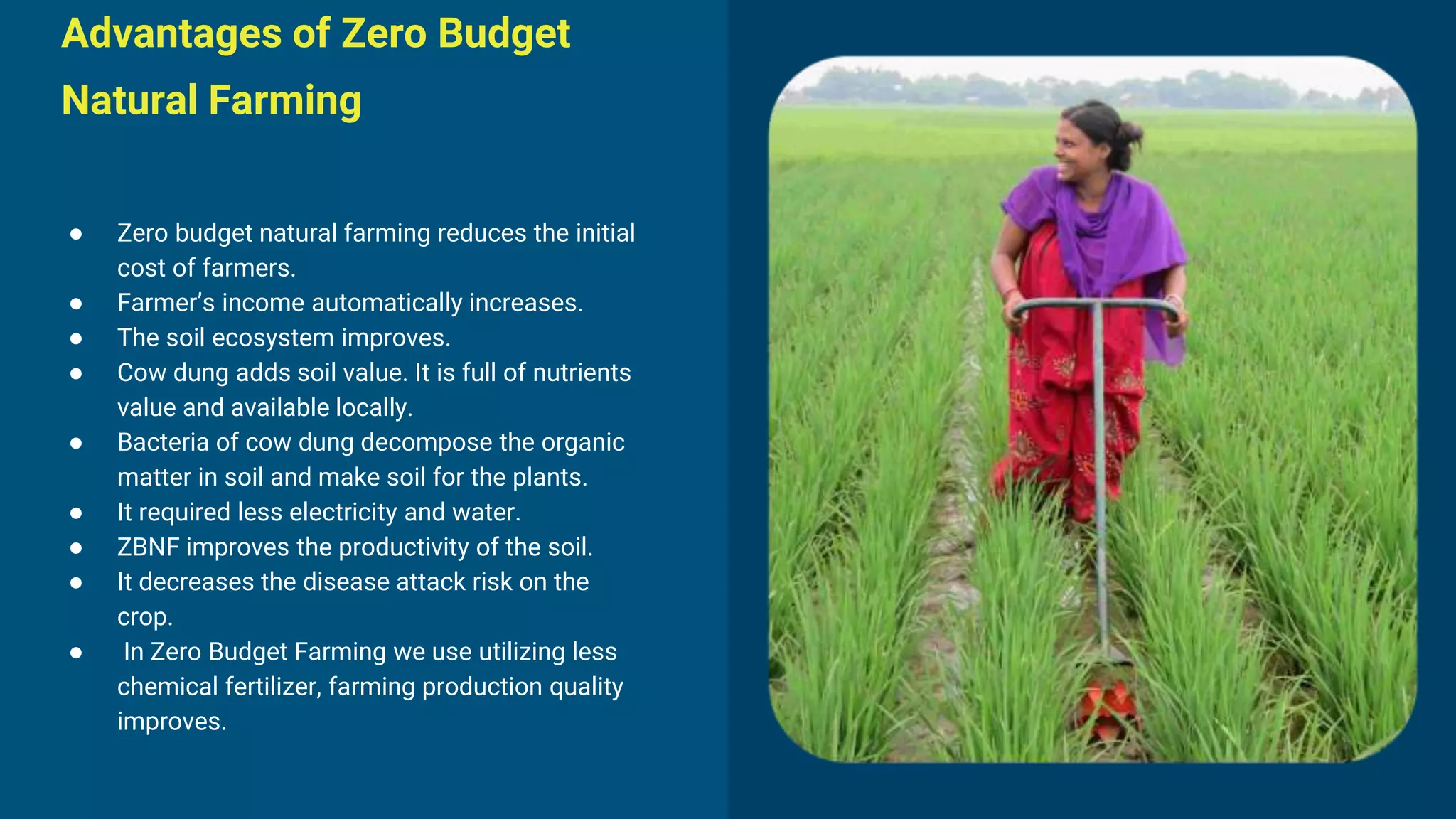 Zero Budget Natural Farming | PPTX