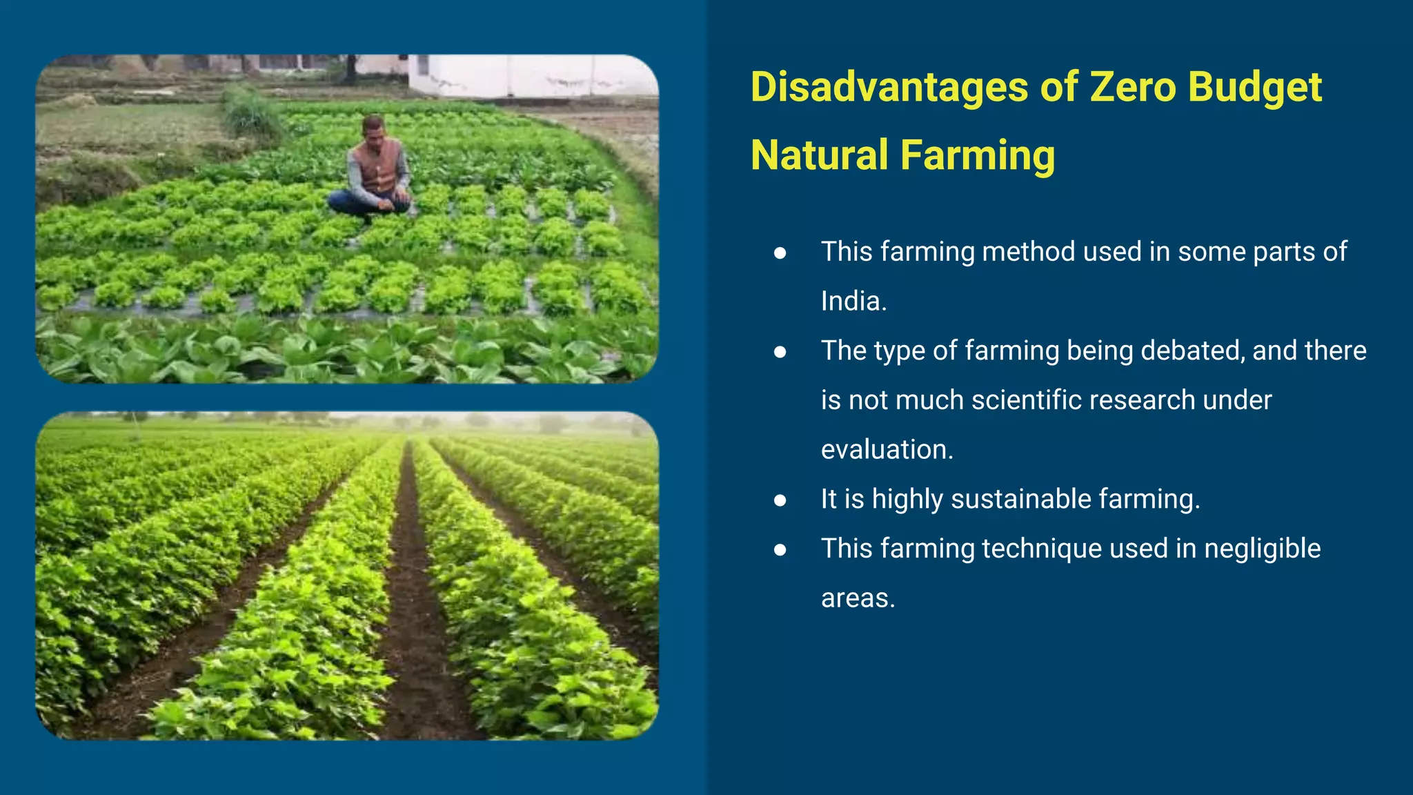 Zero Budget Natural Farming | PPTX