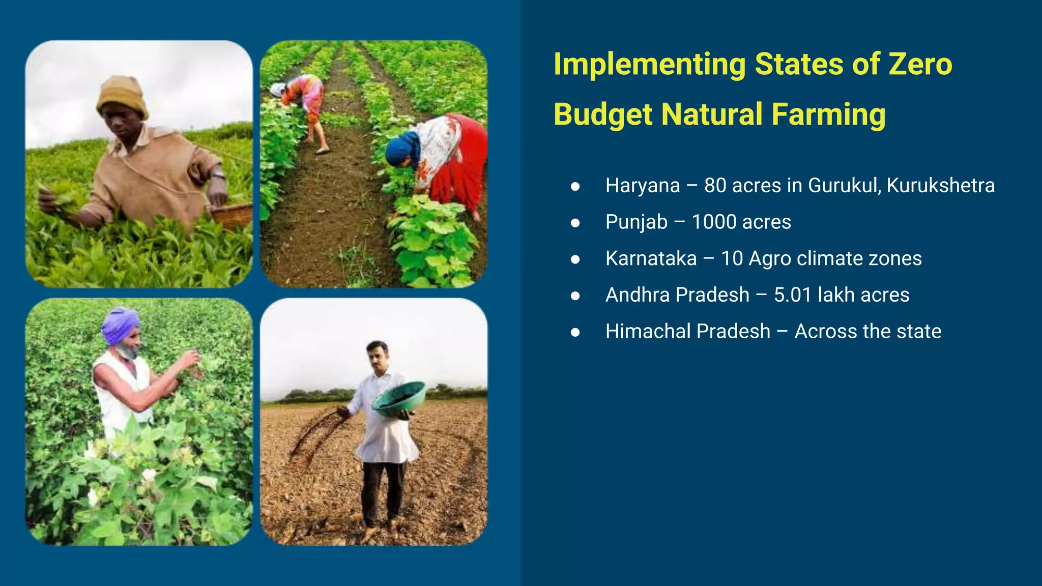 Zero Budget Natural Farming | PPTX